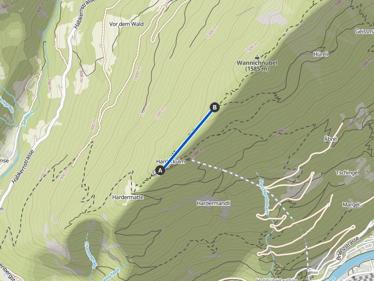 Gratwanderung - Harder Kulm bis Brienzer Rothorn | Wanderung | Komoot